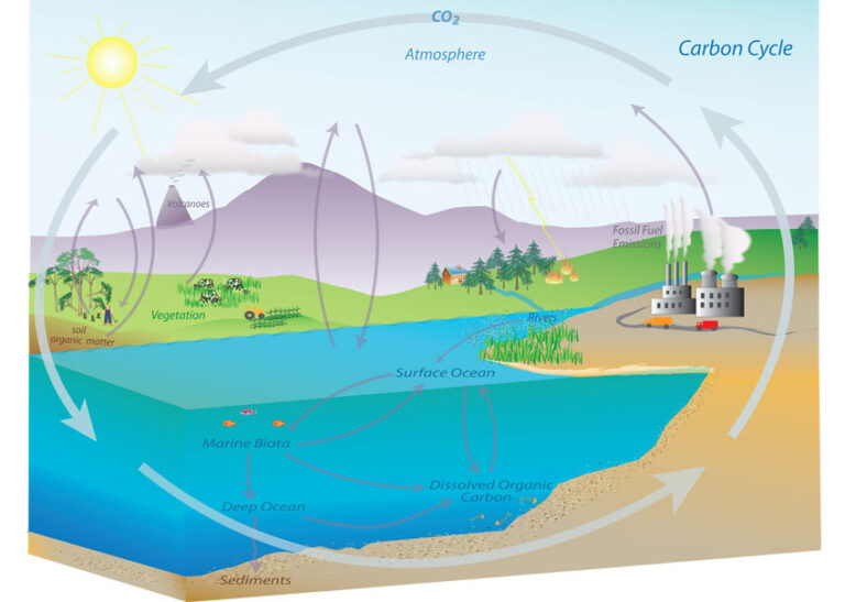 Why Is Soil Important? Soil Sustainability & Our Futur