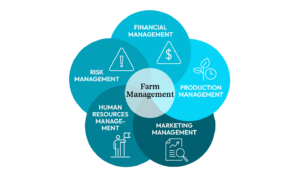Farm Management & The Power of Agriculture Software