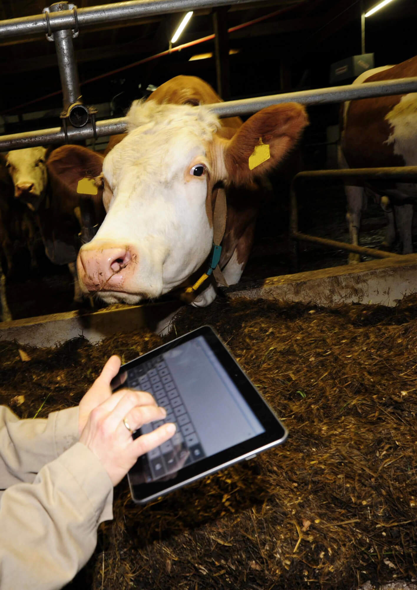 Farm Management & The Power of Agriculture Software
