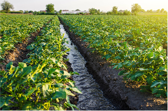 Optimize Your Food and Beverage Operations | ClimateAi