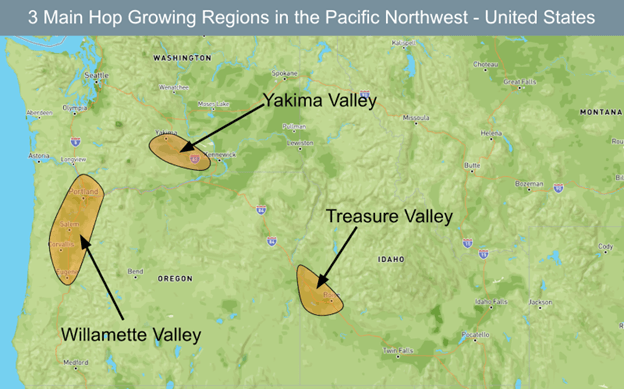 Why Barley and Hops Farmers Want Lion-Like March Weather - ClimateAi