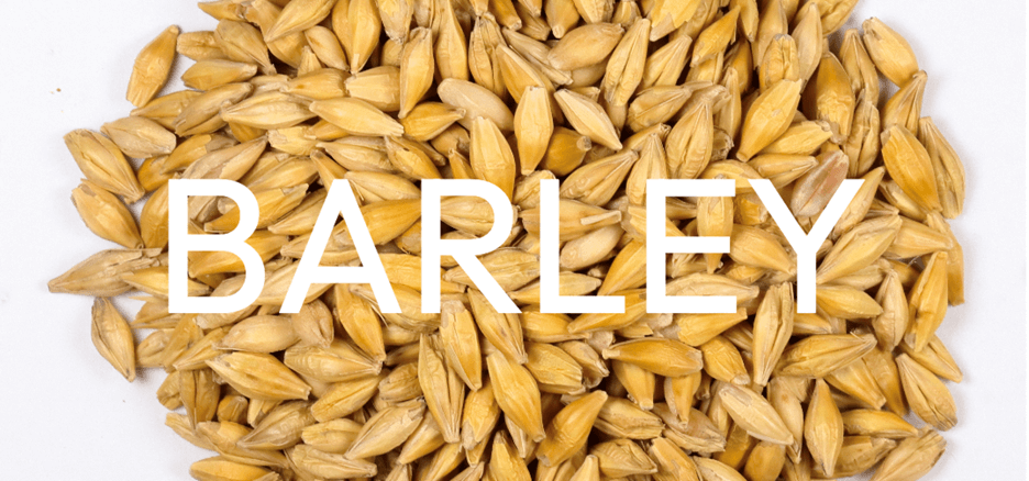 Why Barley and Hops Farmers Want Lion-Like March Weather - ClimateAi