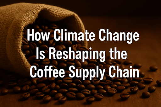 How Coffee Growers and Sourcers are Adapting to Climate Change