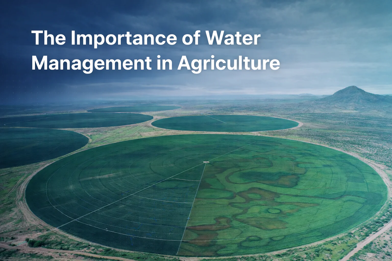 Water Management in Agriculture: Risks & Best Practices