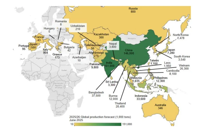 How Climate Change Is Shaking Up Global Rice Supply and Prices